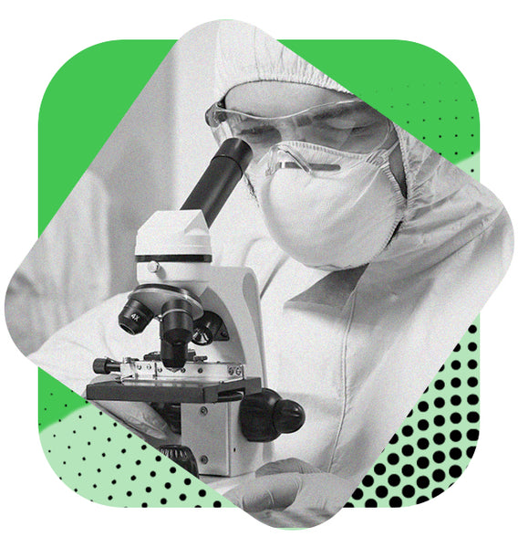 Alcovit Rings in the New Year with an International Expansion – Alcovit USA